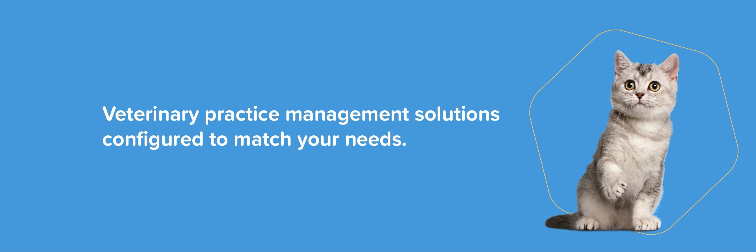 Provet Cloud was ranked as #1 Practice Management Software in the UK